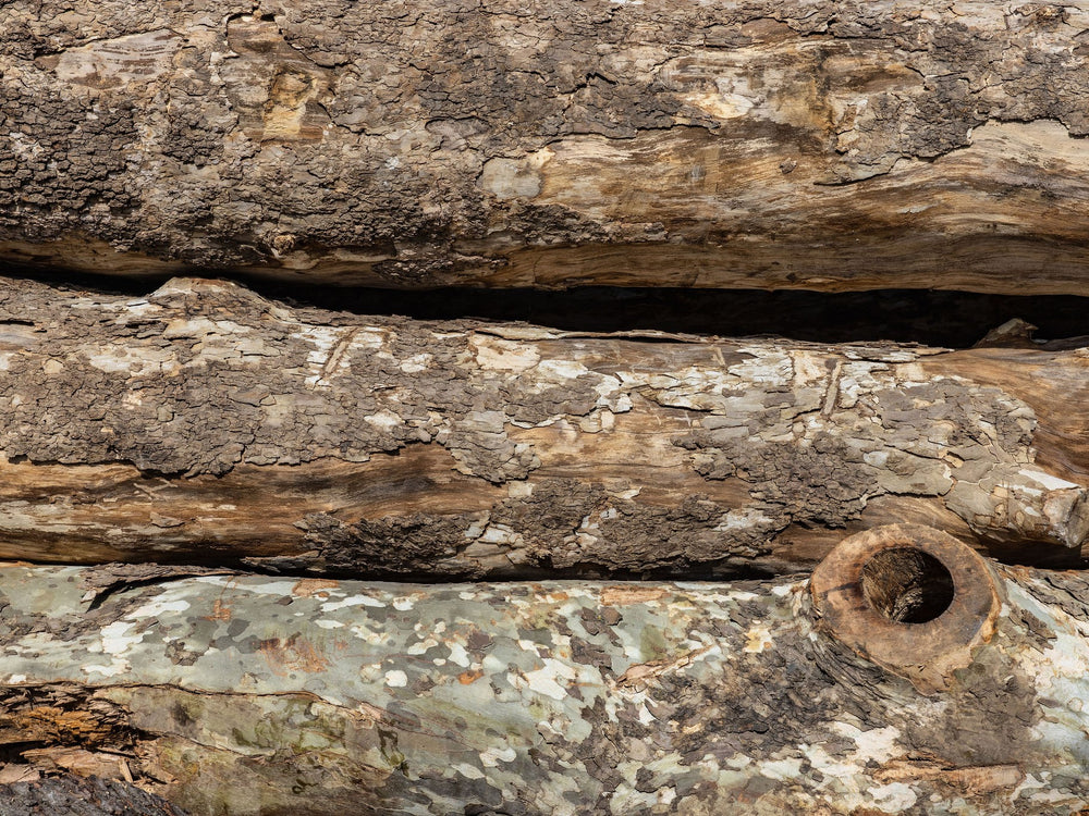 Sawmill Services | Log Milling & Log Kiln Drying in Kansas City - KC ...